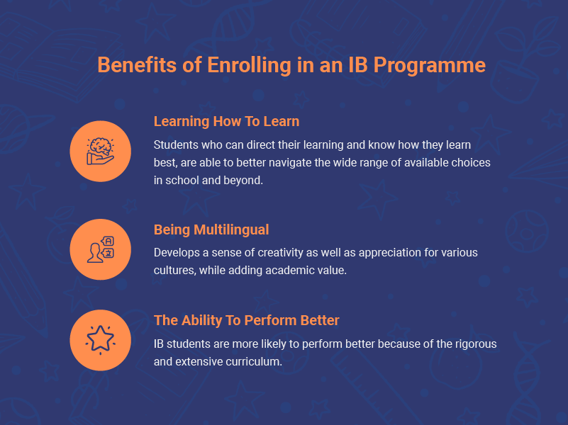 All About IB: The International Baccalaureate Programme Explained | NPS ...